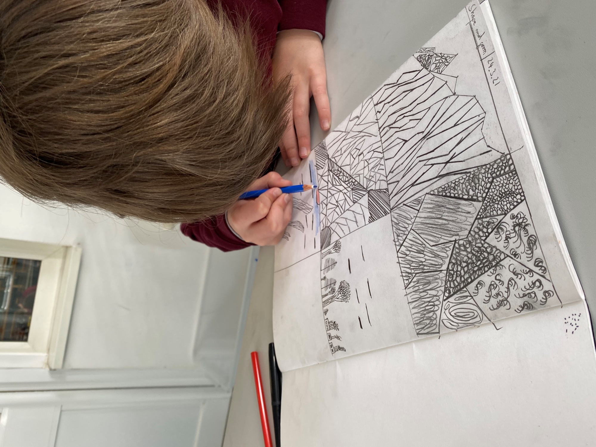 Dalmain Primary School - Curriculum